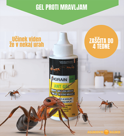 Insekticid Digrain Ant gel učinkovita vaba proti mravljam