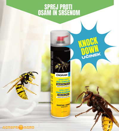 Insekticid digrain sprej za sršene in ose | AgroProAgro d.o.o.
